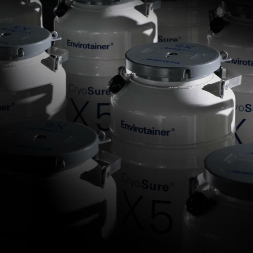 Netceed | Cinven - Focused European Integrated World-class